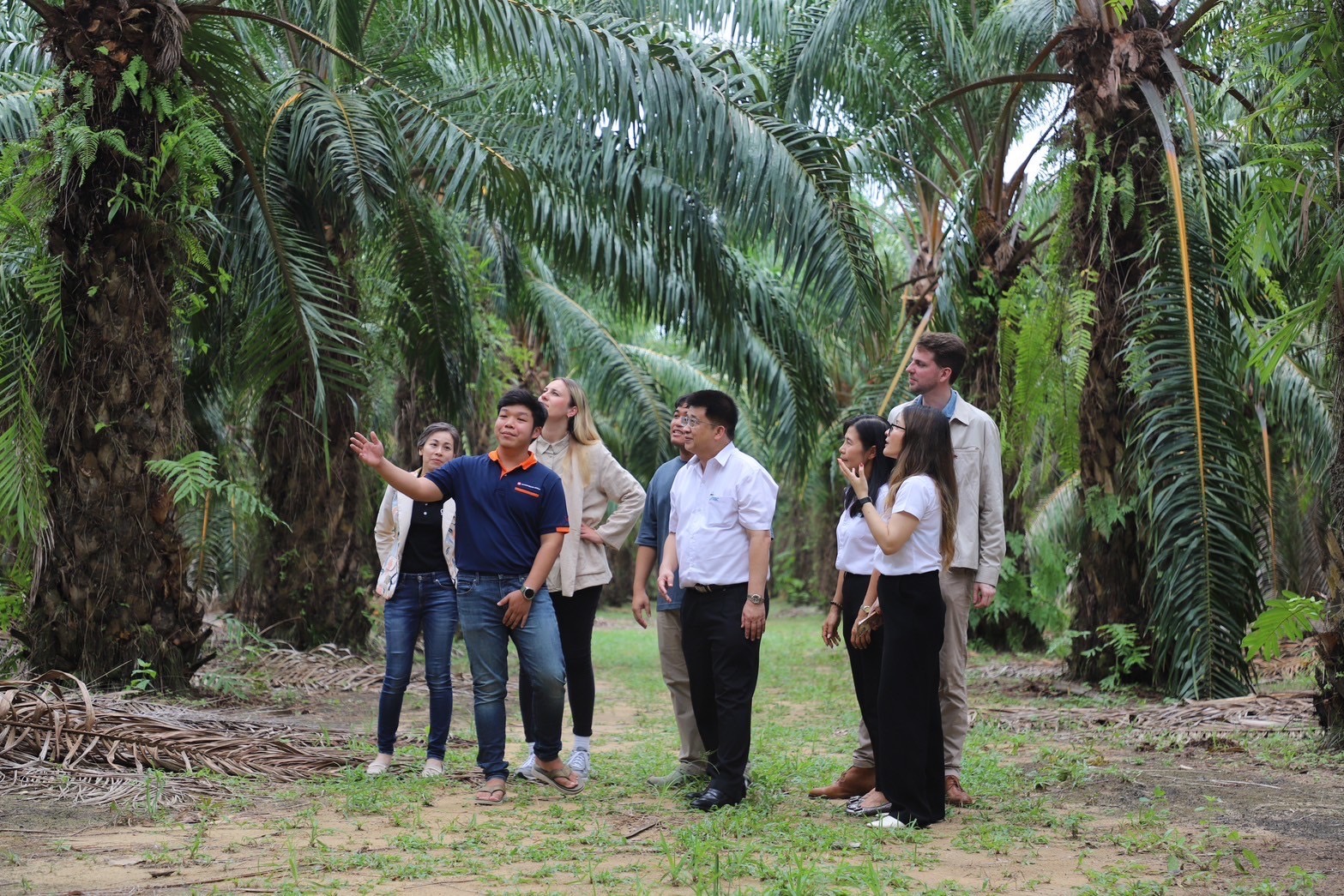 第二世代へと進化するタイのバイオエネルギー ～PTTグループ、GGCのクリッサダ社長インタビュー～ - THAIBIZ